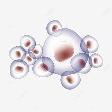 Head Spa Madrid | Spa Capilar en Madrid